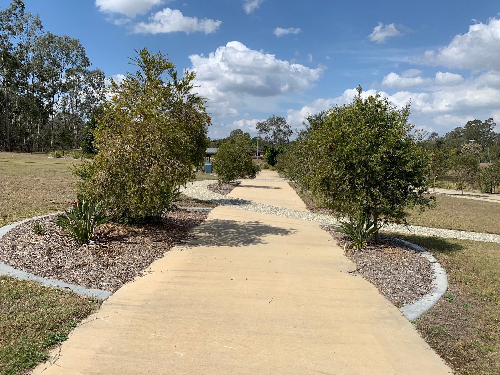 Gallery | Monterea Ripley